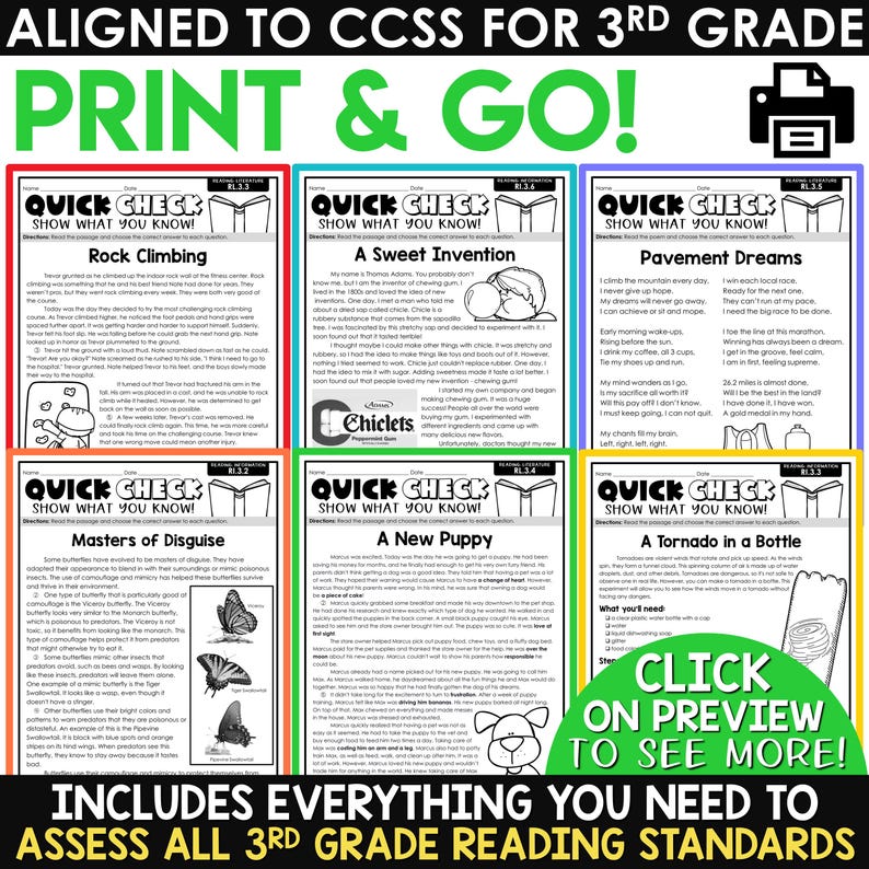 3rd Grade Reading Comprehension Passages & Questions, 3rd Grade Reading ...