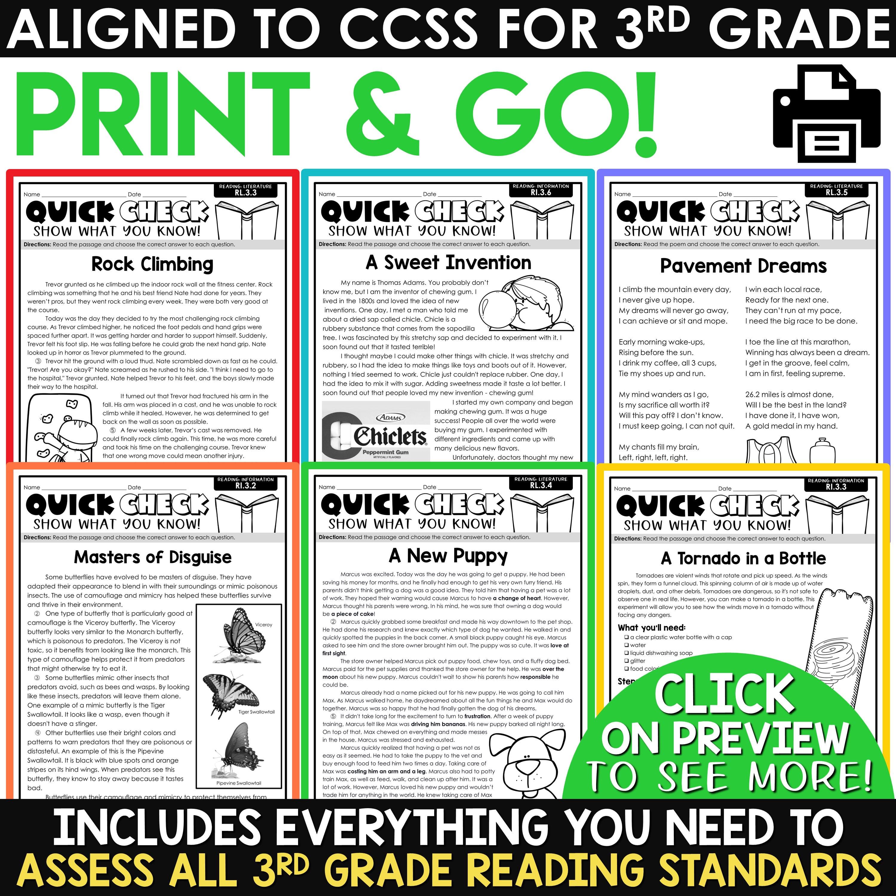 3rd Grade Reading Comprehension Passages & Questions, 3rd Grade Reading ...