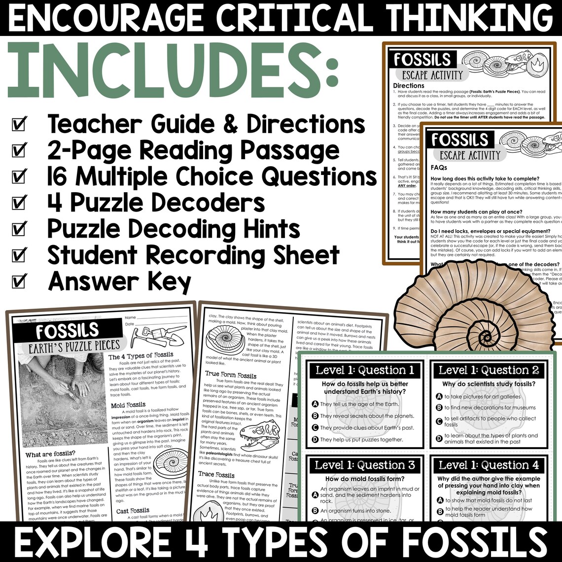 Fossils Escape Room Science Activity, Fossil Escape Game, Earth Science ...