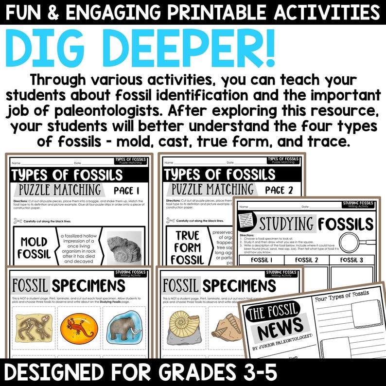 Types of Fossils Worksheets | Science Reading Comprehension Passages ...
