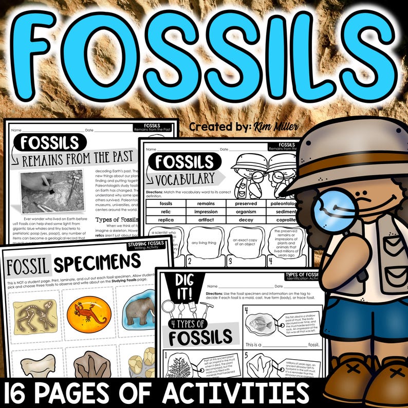 Types of Fossils Worksheets | Science Reading Comprehension Passages ...