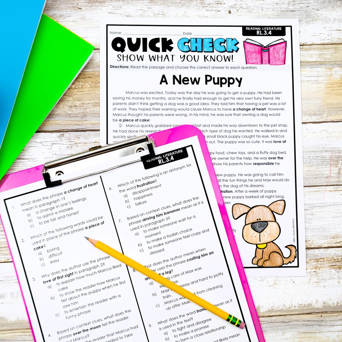 3rd Grade Reading Comprehension Passages & Questions, 3rd Grade Reading ...