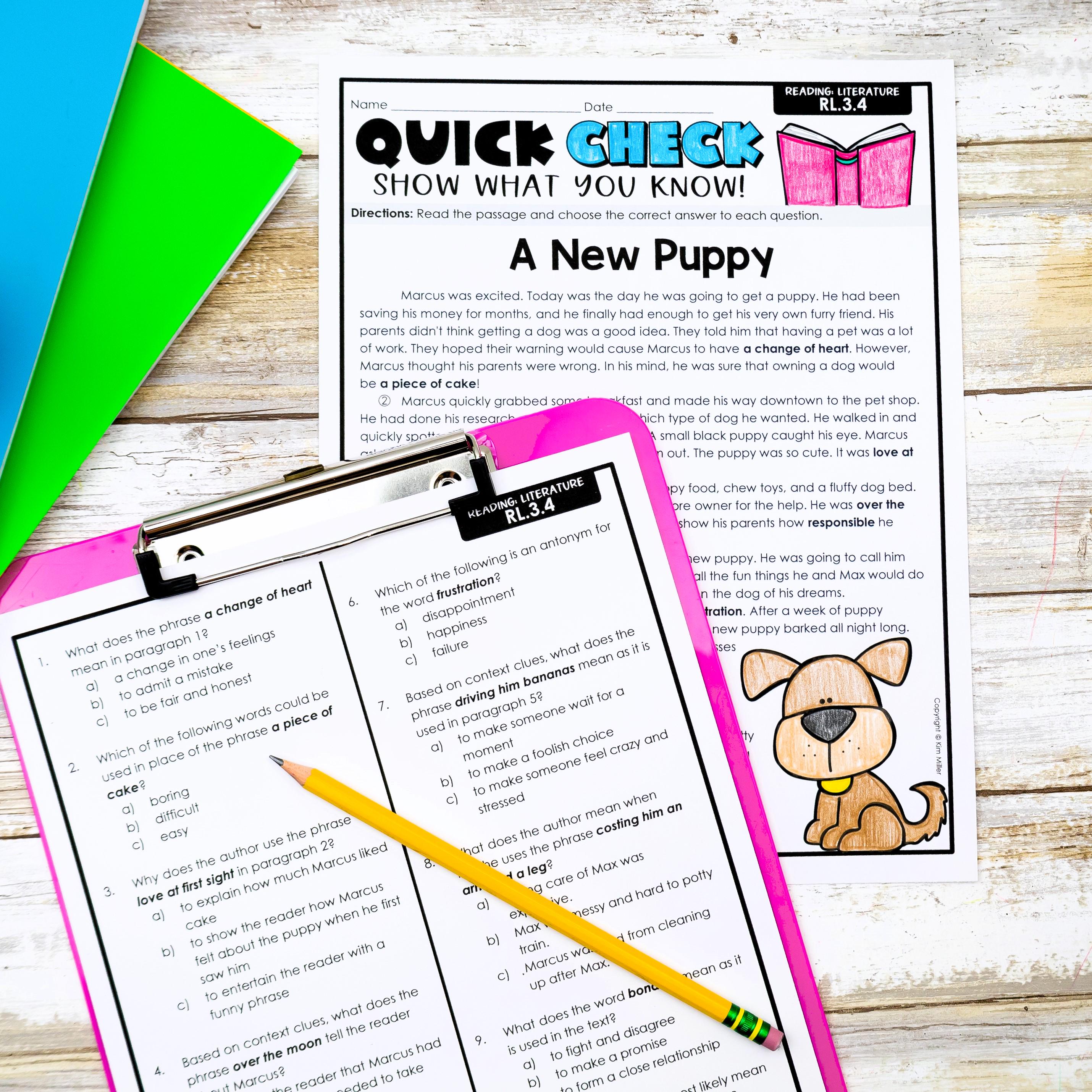 3rd Grade Reading Comprehension Passages & Questions, 3rd Grade Reading ...