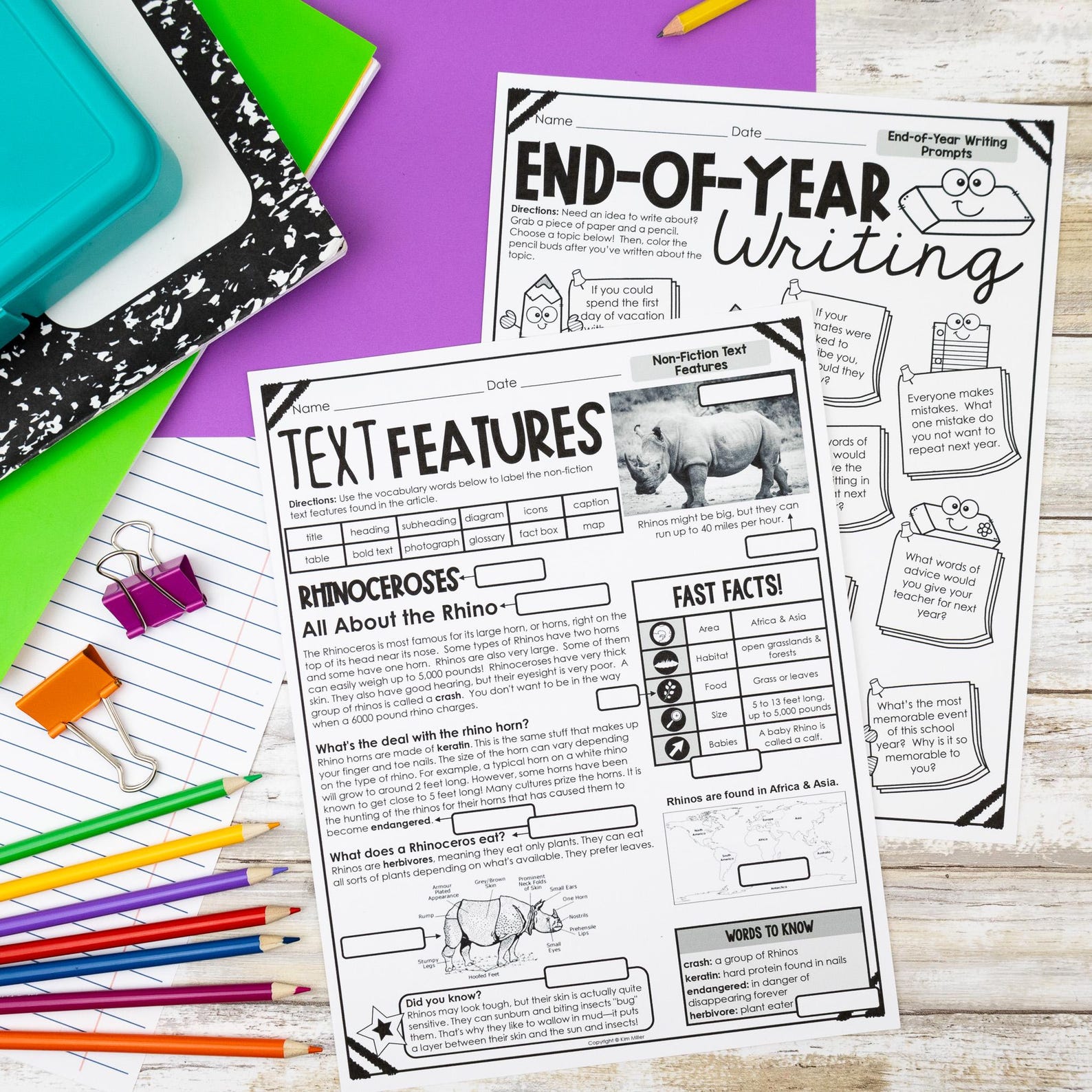 End of the Year Activities Reading Math Worksheets 4th 5th Grade Last ...