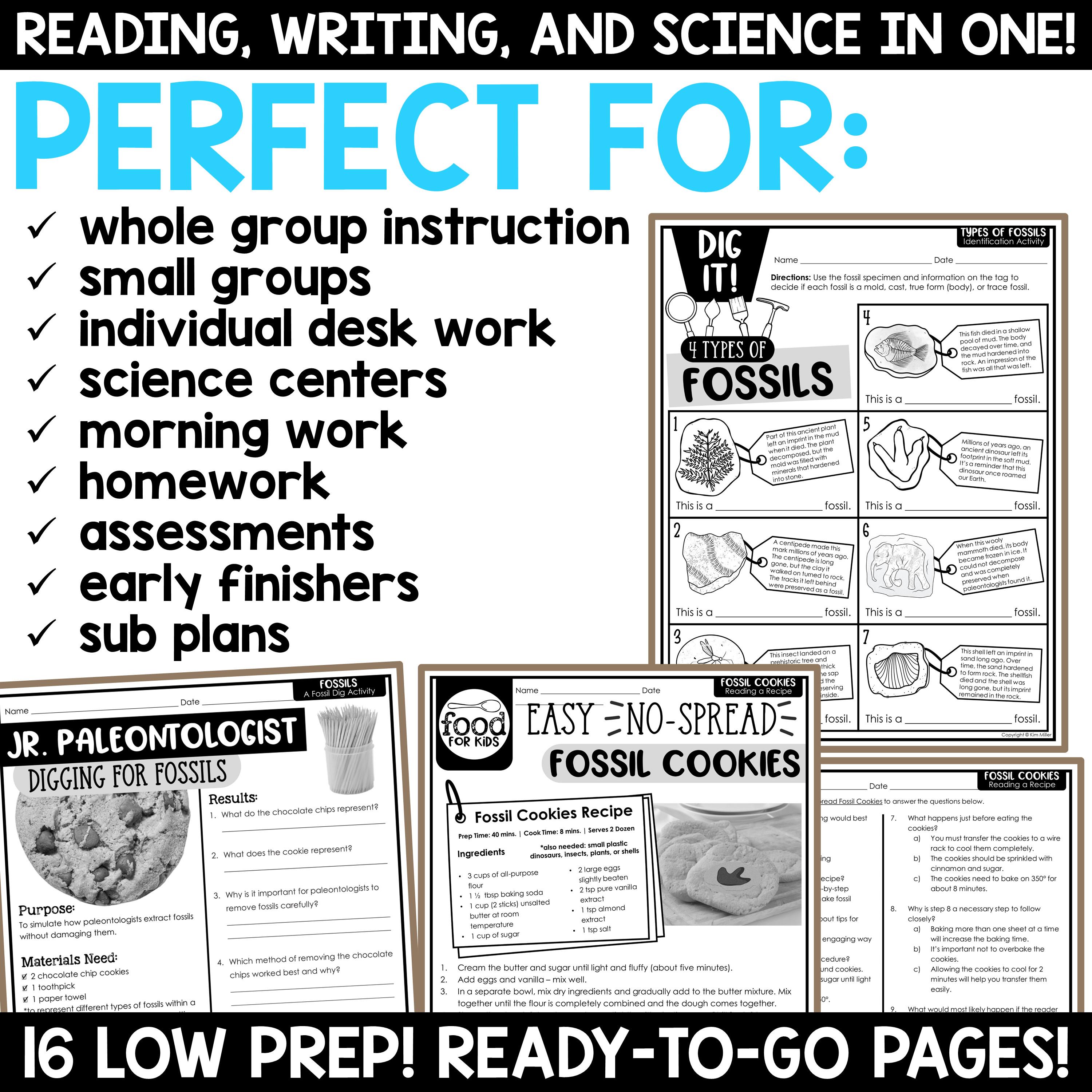 Types of Fossils Worksheets | Science Reading Comprehension Passages ...