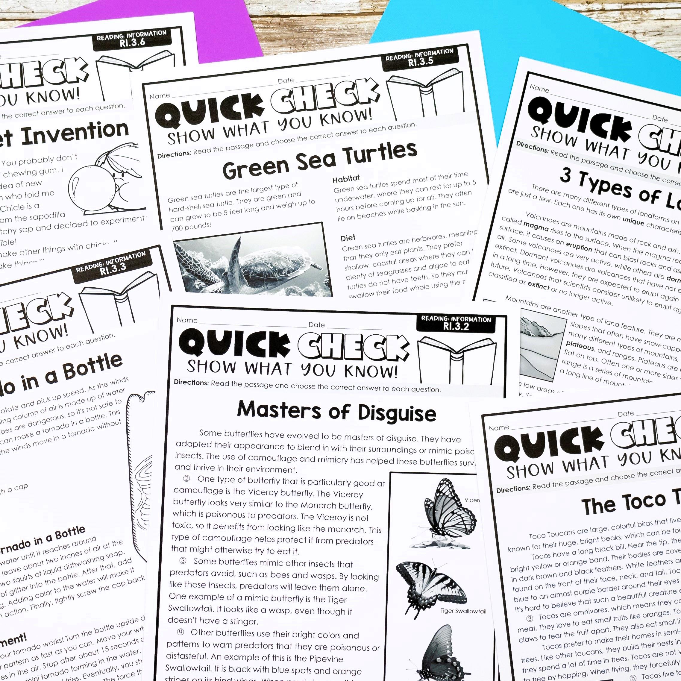 3rd Grade Reading Comprehension Passages & Questions, 3rd Grade Reading ...