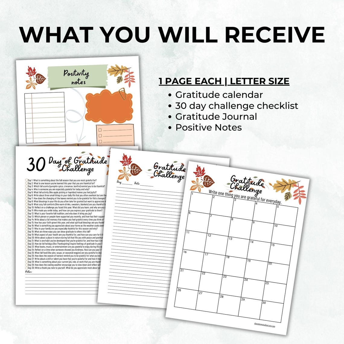 30 Day Gratitude Challenge Printable Gratitude Journal Printable 30 Day ...