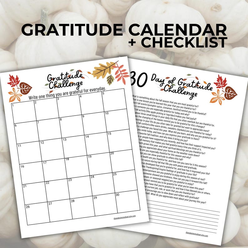 30 Day Gratitude Challenge Printable Gratitude Journal Printable 30 Day ...