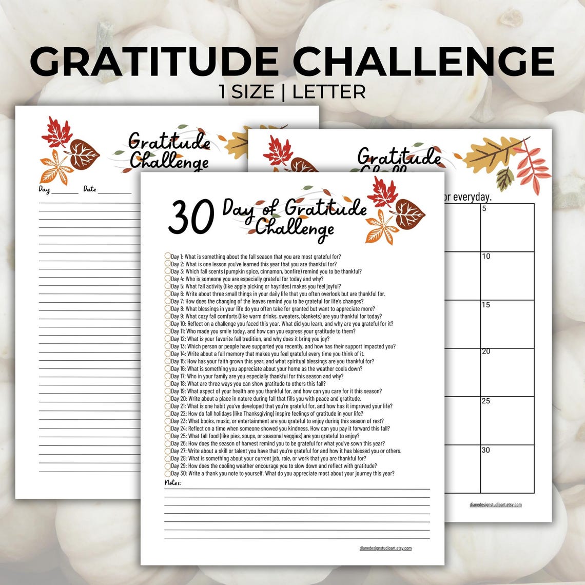 30 Day Gratitude Challenge Printable Gratitude Journal Printable 30 Day ...