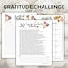30 Day Gratitude Challenge Printable Gratitude Journal Printable 30 Day ...