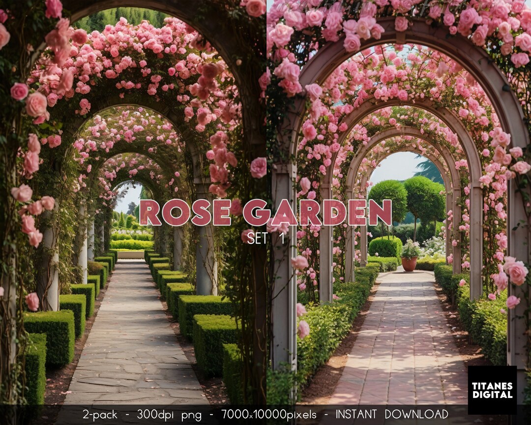 Rose Garden Backgrounds, Rose Portrait Backdrops, Floral Backgrounds ...