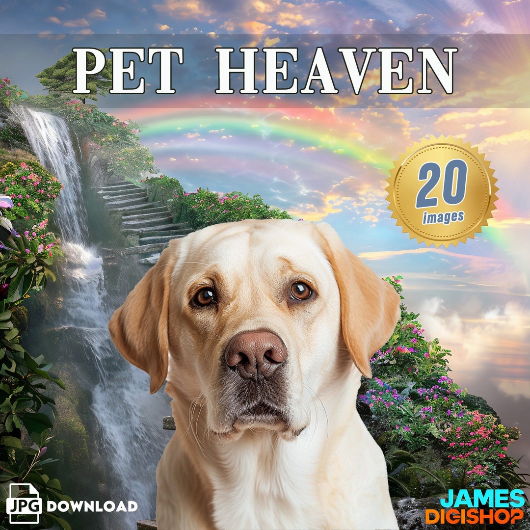 Pet Memorial Backgrounds: Rainbow Heaven Poster (digital Download) - Etsy