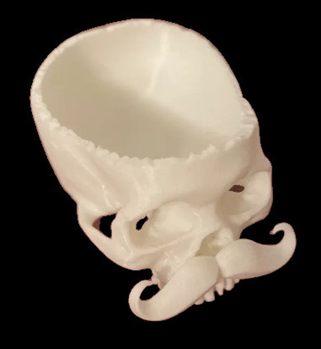 3D Printed Skull Candy Bowl W/ Mustache - Etsy