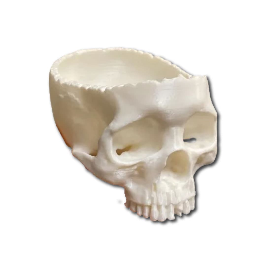 3D Printed Skull Candy Bowl - Etsy