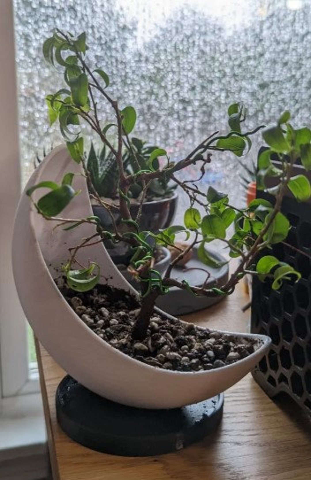 3D Printed Half Moon Planter - Etsy