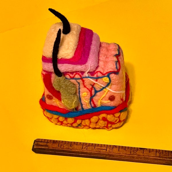 Human Body Felt - Etsy