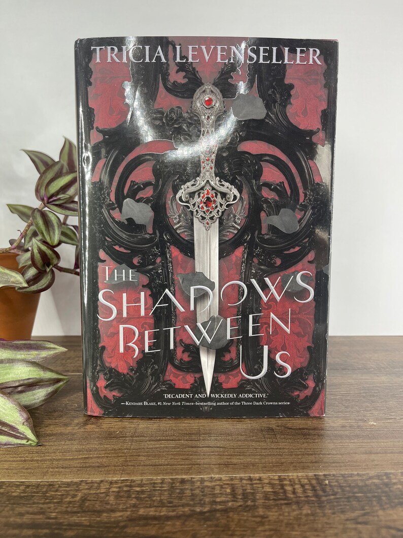 The Shadows Between Us (hardback) (book 1) (romance, Fantasy) - Etsy