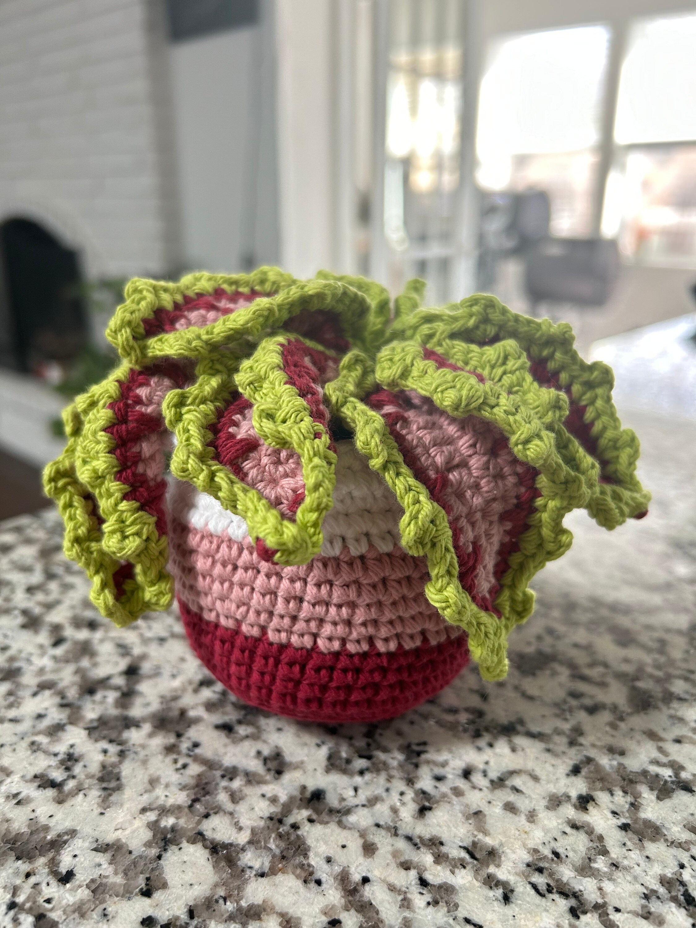 Crochet Coleus Plant - Etsy