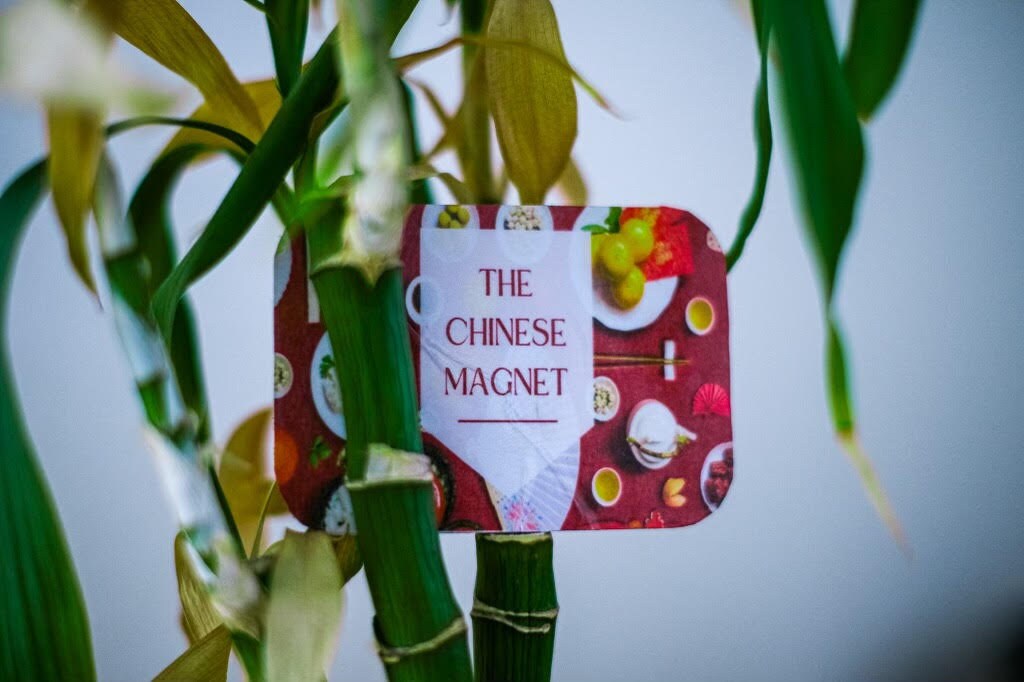 EDITABLE Recipe Magnet, Recipe Magnet, BUNDLE, Cook, Recipe Page ...