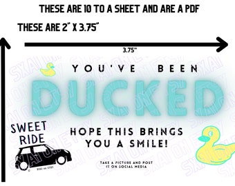 YOUVE BEEN DUCKED - Mini Pink - Digital Downloadable Tags - Etsy