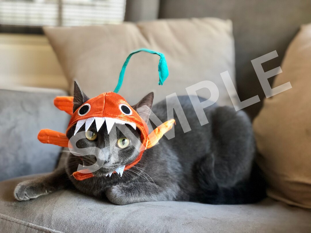 Grey Cat in Angler Fish Halloween Costume Digital Download - Etsy