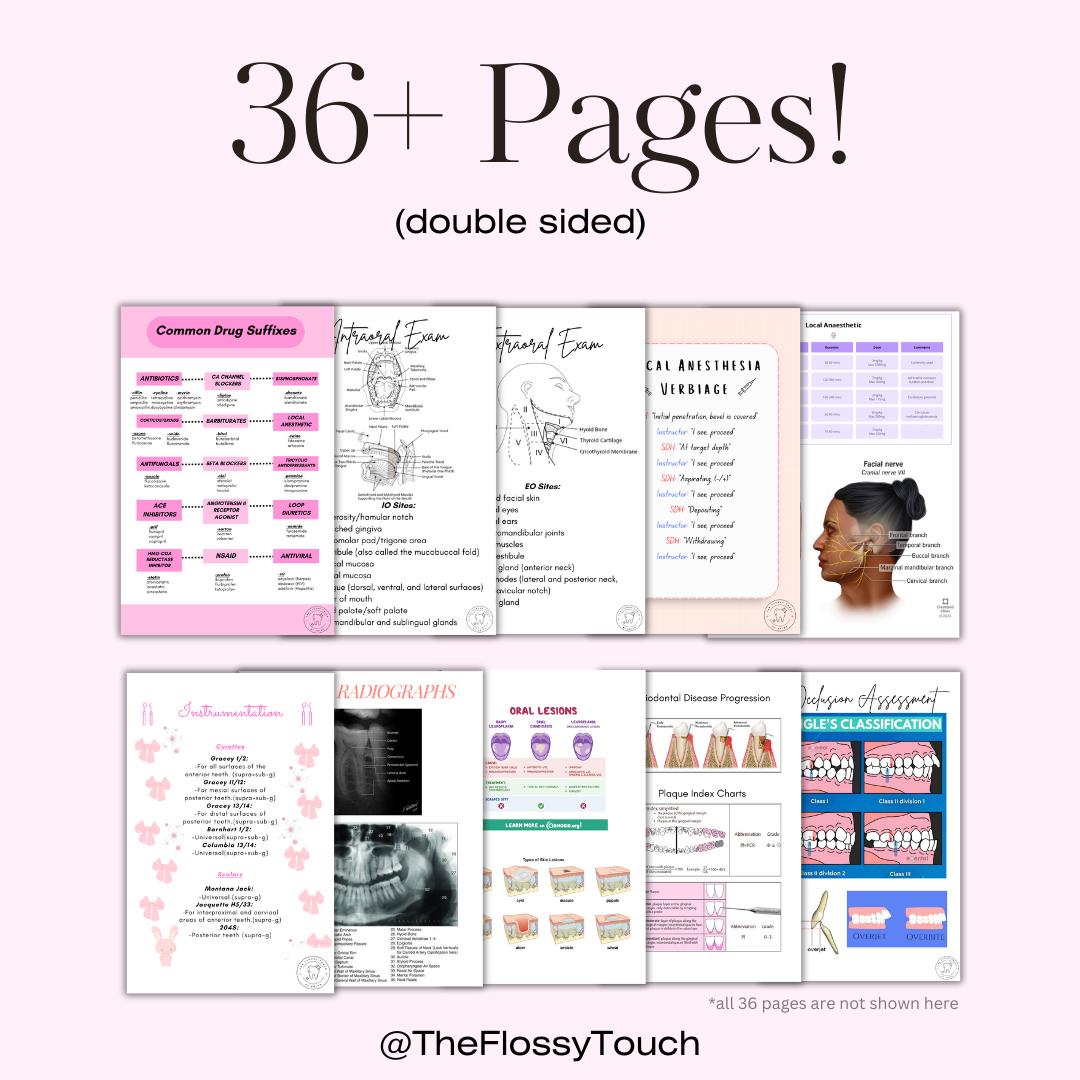 Mini Dental Hygiene Clinic Reference Binder,dental Hygiene, Student ...