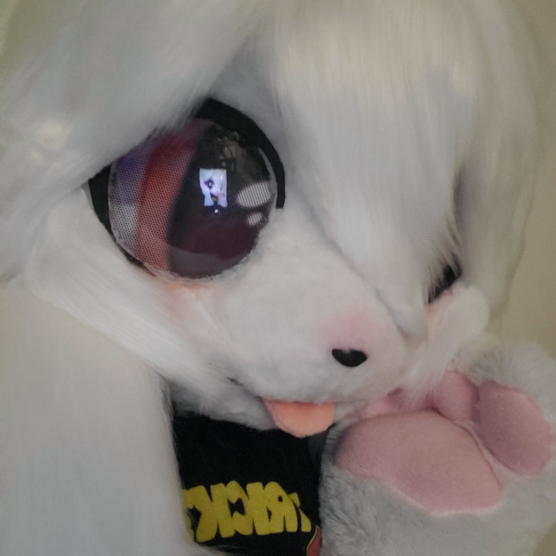 Kemono Fursuit - Etsy
