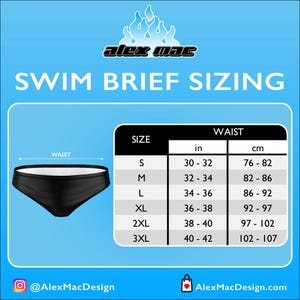 Gay Bear Pride Flag Men's Brief Style Swim Trunks, Rainbow Daddy Cub ...