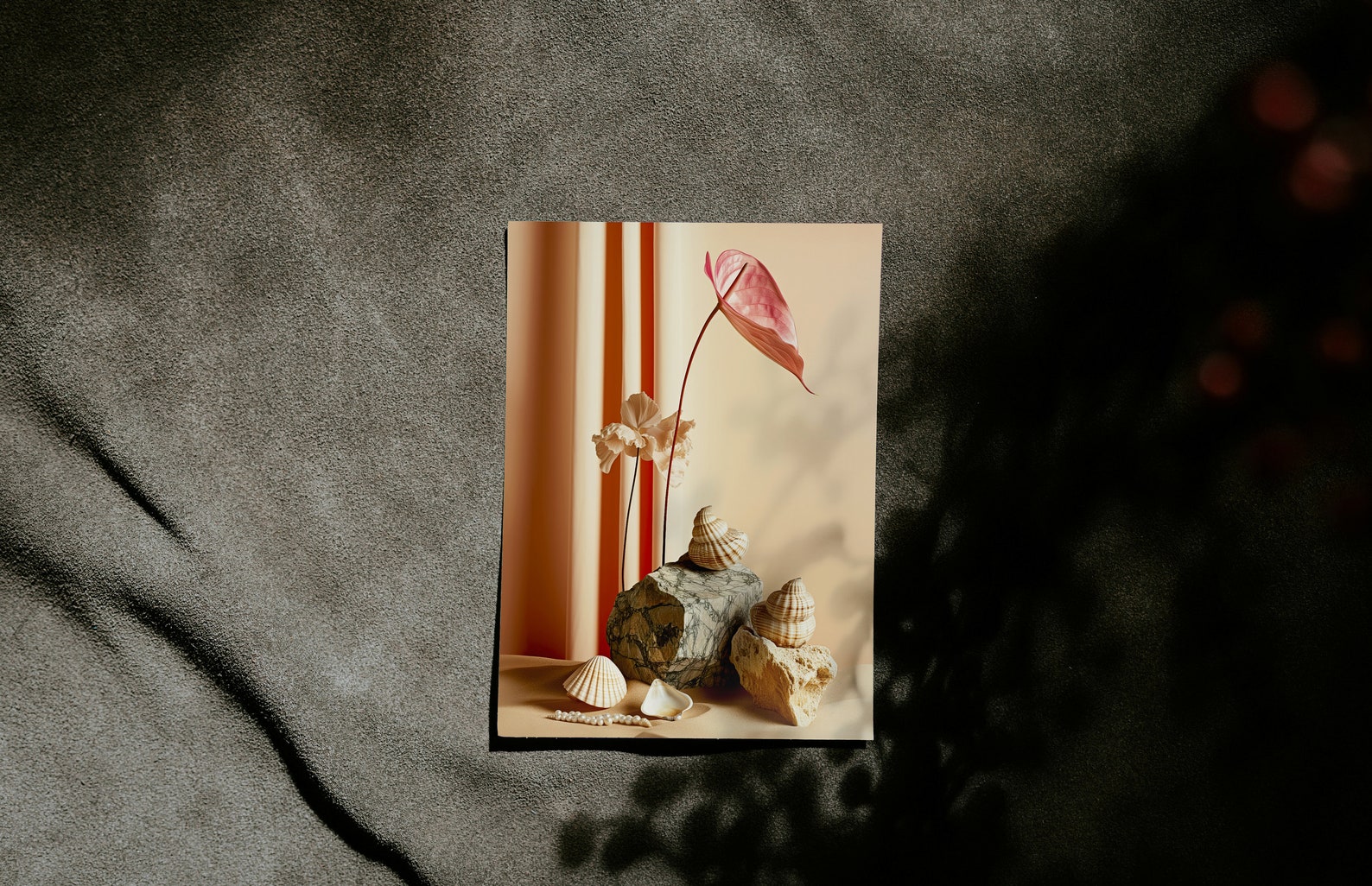 Coastal Calm,still Life Photography,digital Print Download,modern Wall ...