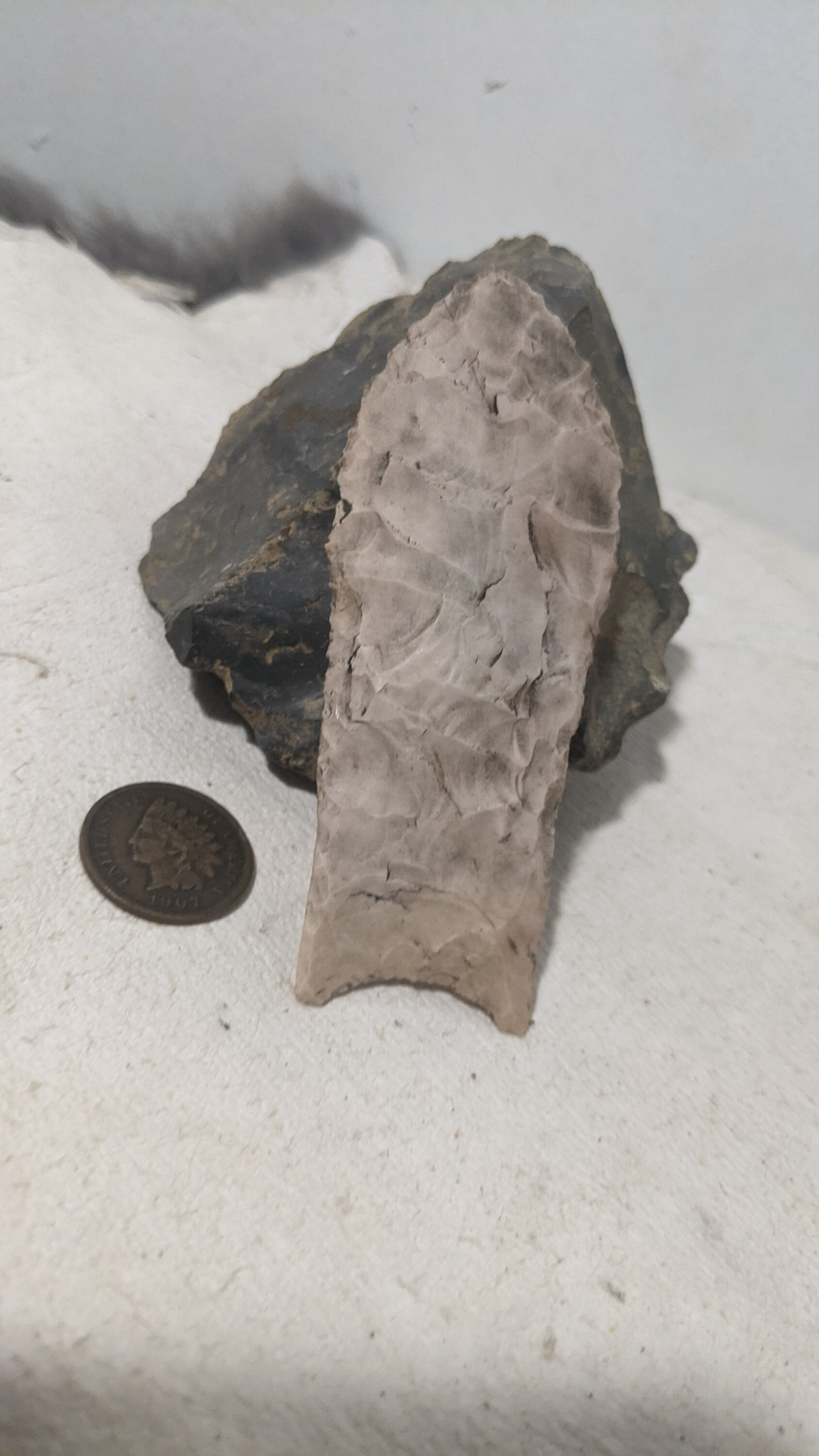 Clovis Replica unfluted - Etsy