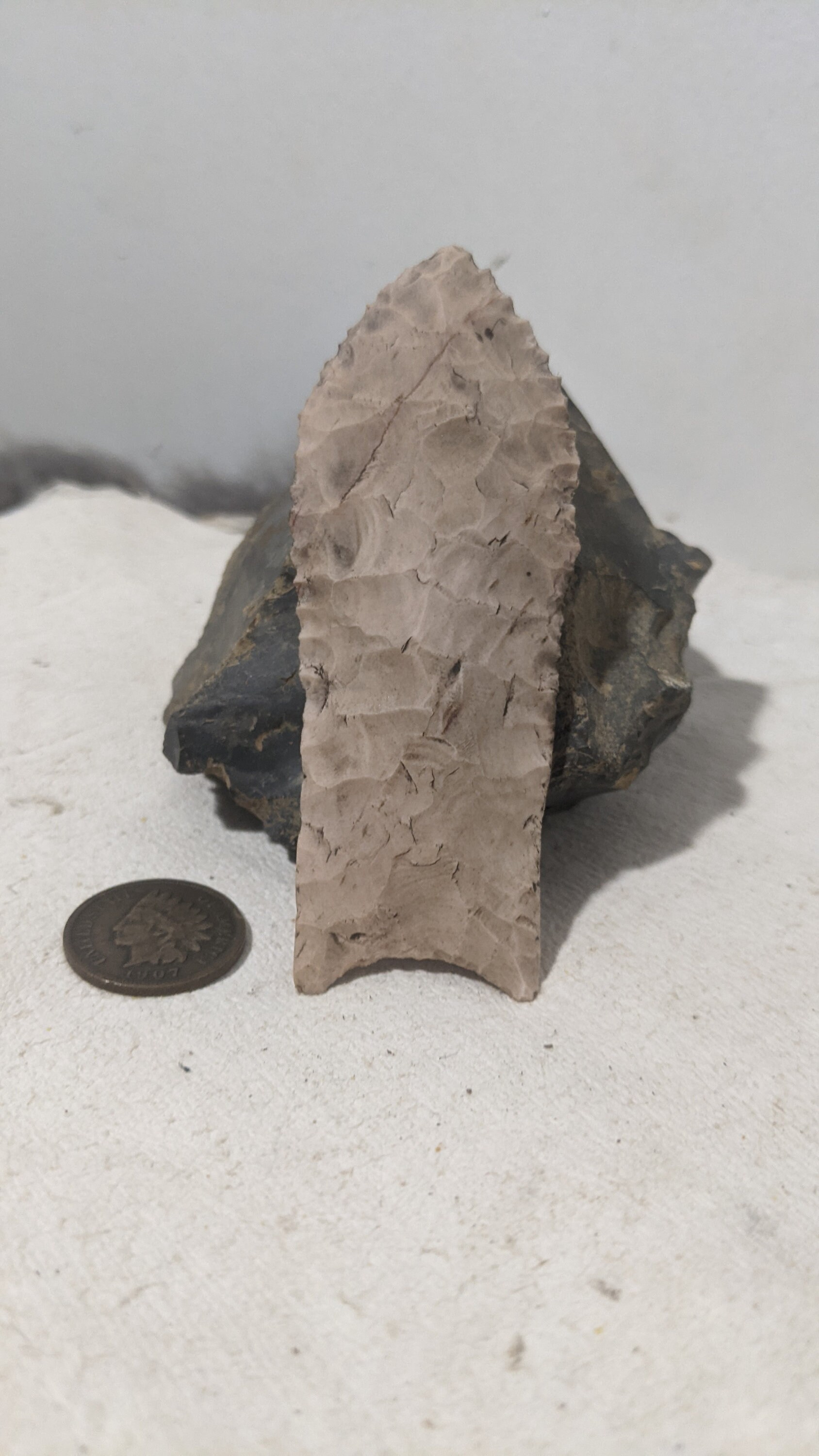 Clovis Replica unfluted - Etsy