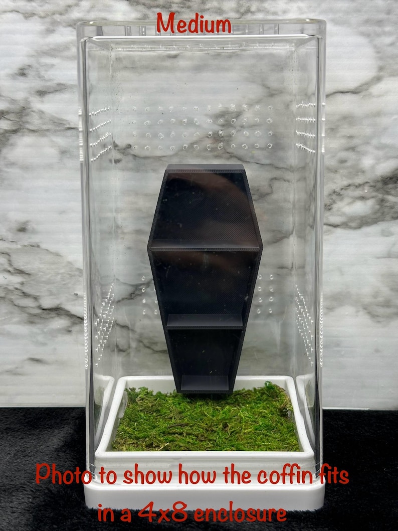 Jumping Spider Enclosure Accessory | Magnetic Coffin Shelf ...