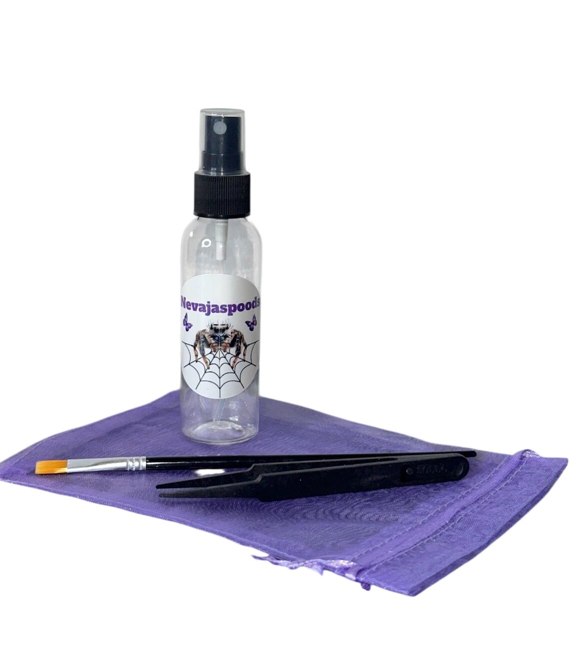 Jumping Spider Starter Kit | Spider Care Kit | Pet Spider Setup ...