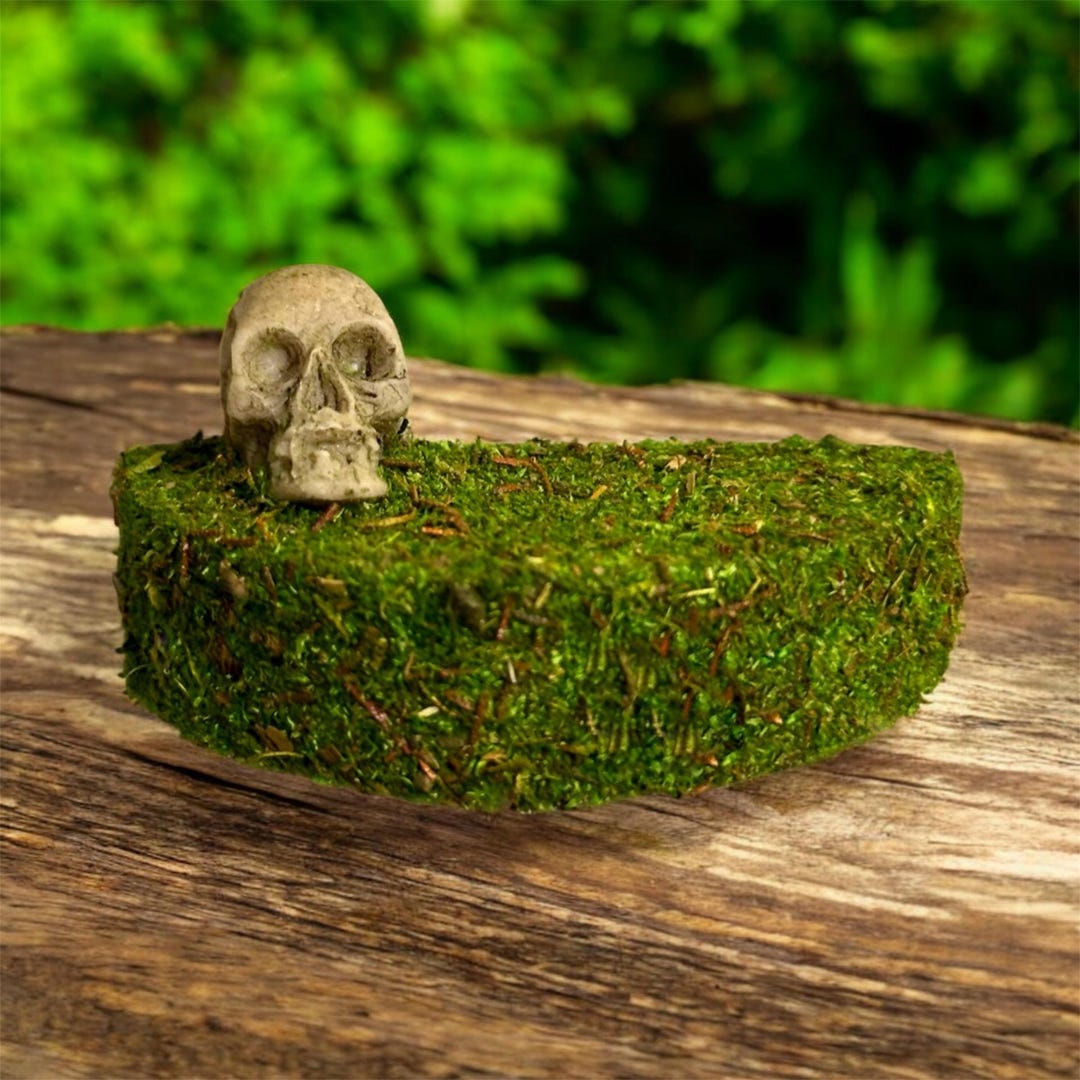 Mossy Ledge for Jumping Spider | Spider Enclosure Decor | Spider ...