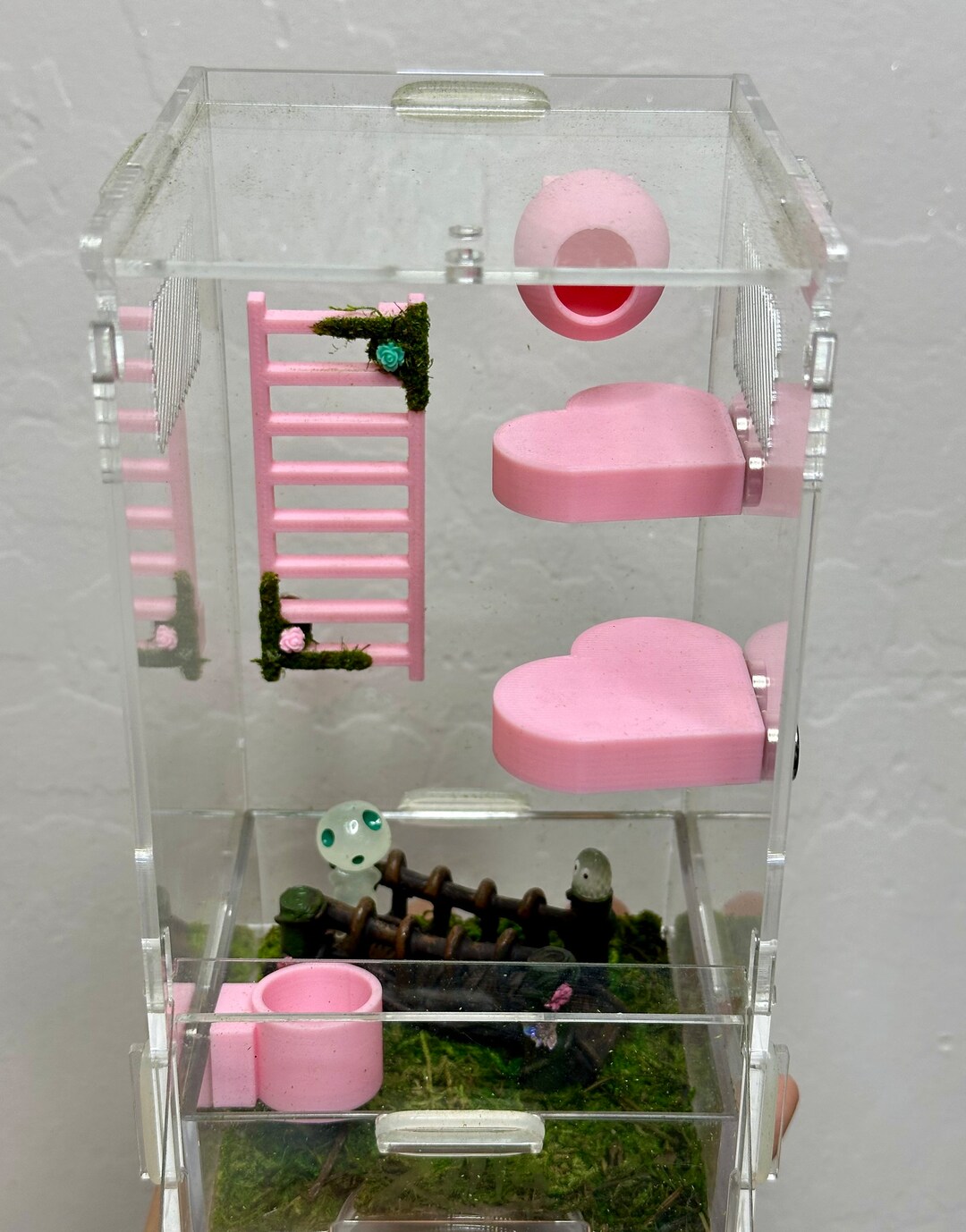 Set of 2 Heart Jumping Spider Ledges - Etsy