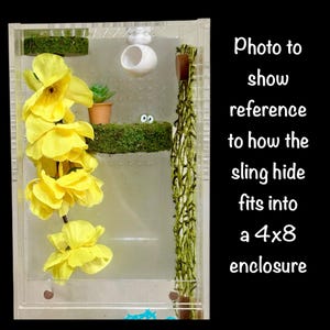 Cocoon Hide | Magnetic Spider Enclosure Decor - Etsy