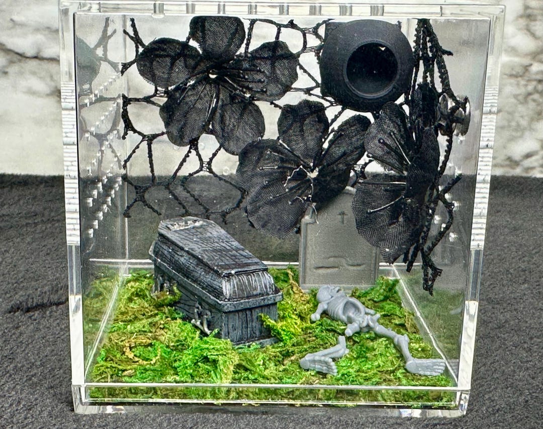 Skeleton Sling Jumping Spider Enclosure - Etsy