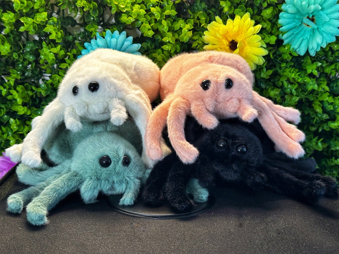 Jumping Spider Plushie - Etsy