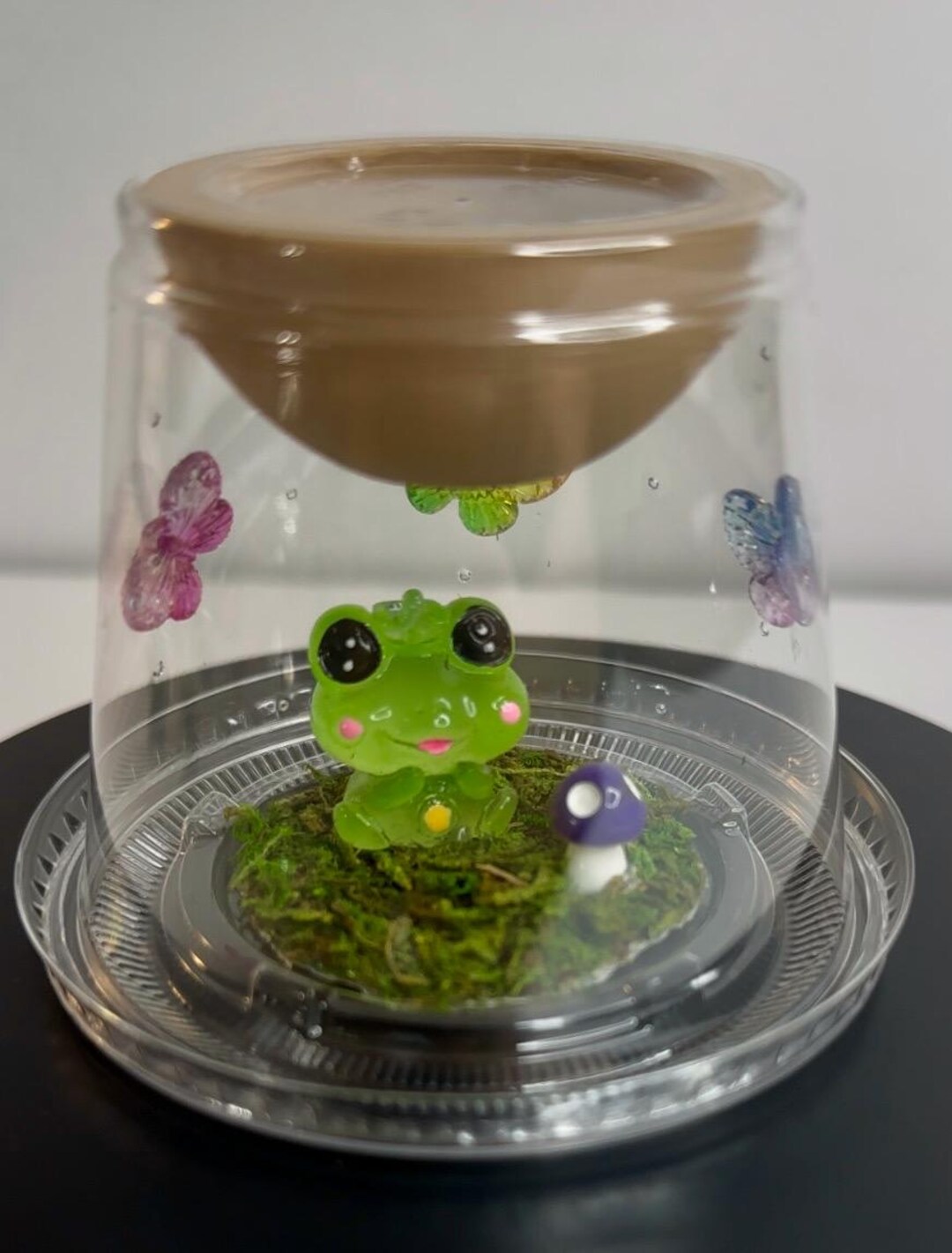 Sling Jumping Spider Temporary Home - Etsy