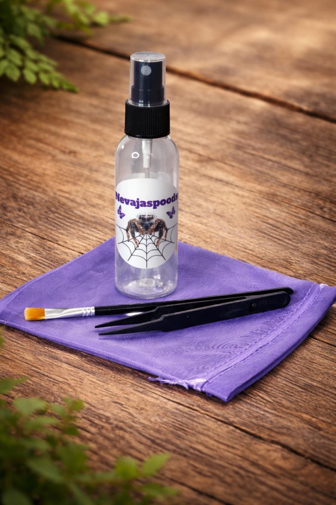 Jumping Spider Starter Kit | Spider Care Kit | Pet Spider Setup ...