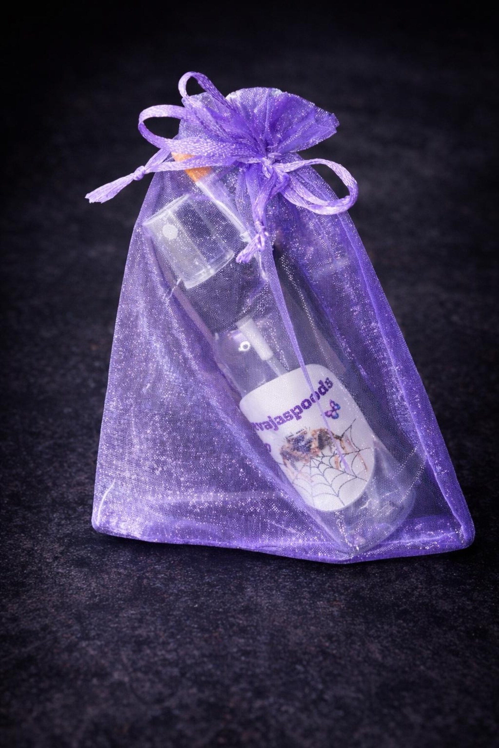 Jumping Spider Starter Kit | Spider Care Kit | Pet Spider Setup ...