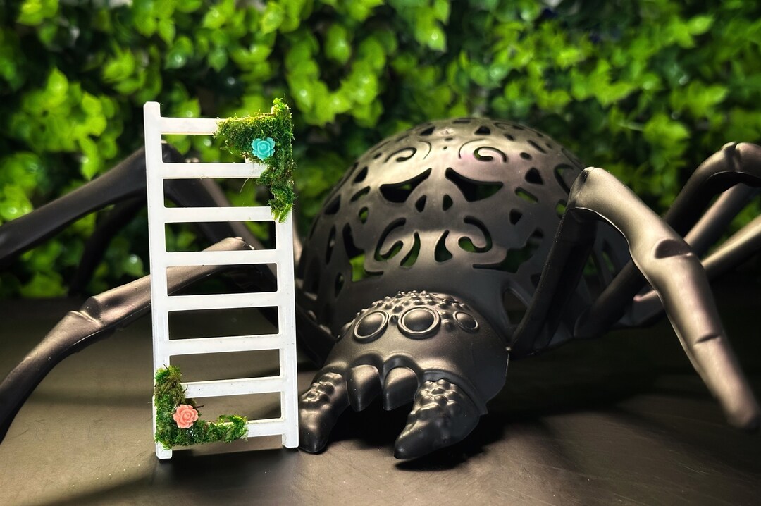 Moss & Flower Jumping Spider Ladder - Etsy