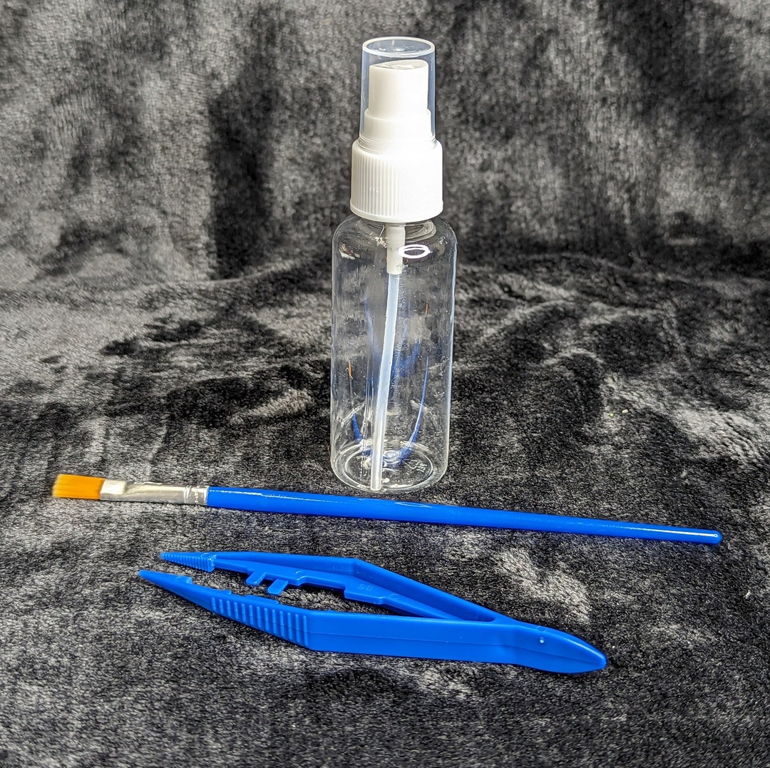 Jumping Spider Starter Kit - Etsy