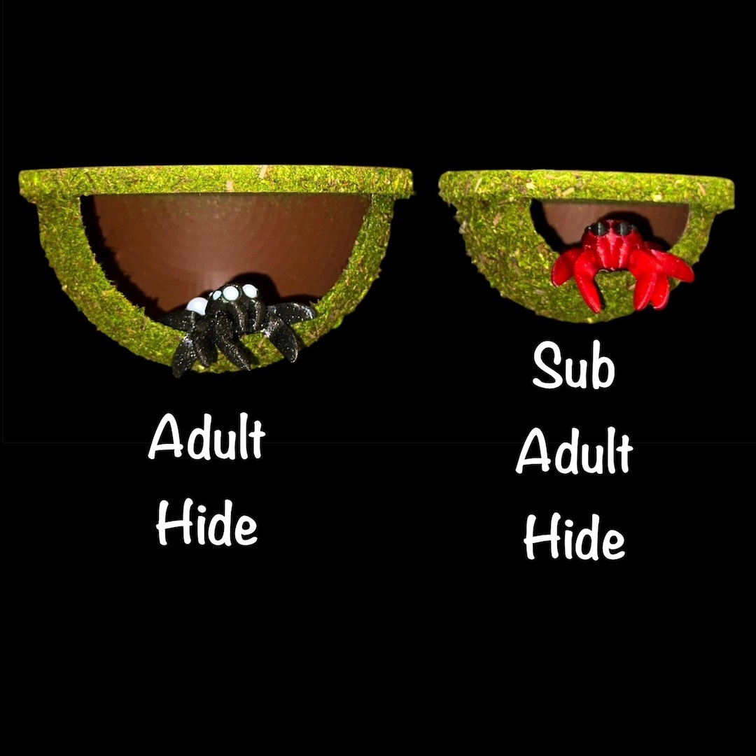 Arboreal Tarantula Hide, for Gecko, Tarantula or Larger Arboreal Spider ...