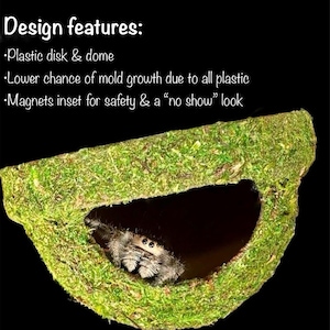 Hanging Moss Hide for Jumping Spider | Spider Enclosure Decor | Natural ...