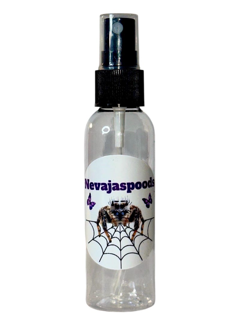 Jumping Spider Starter Kit | Spider Care Kit | Pet Spider Setup ...