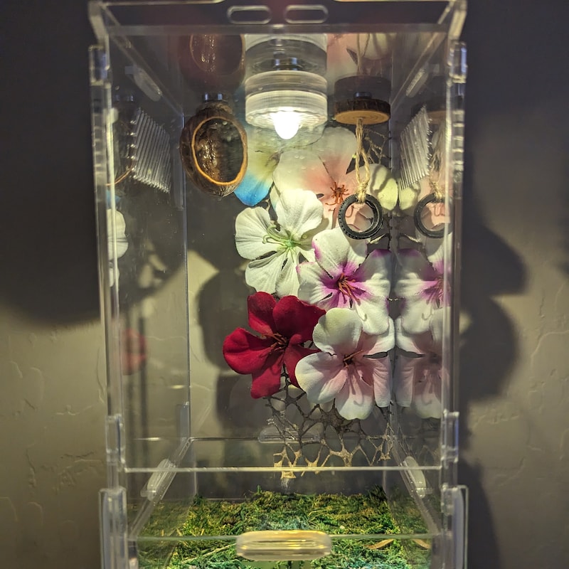 Jumping Spider Mini Decor - Etsy