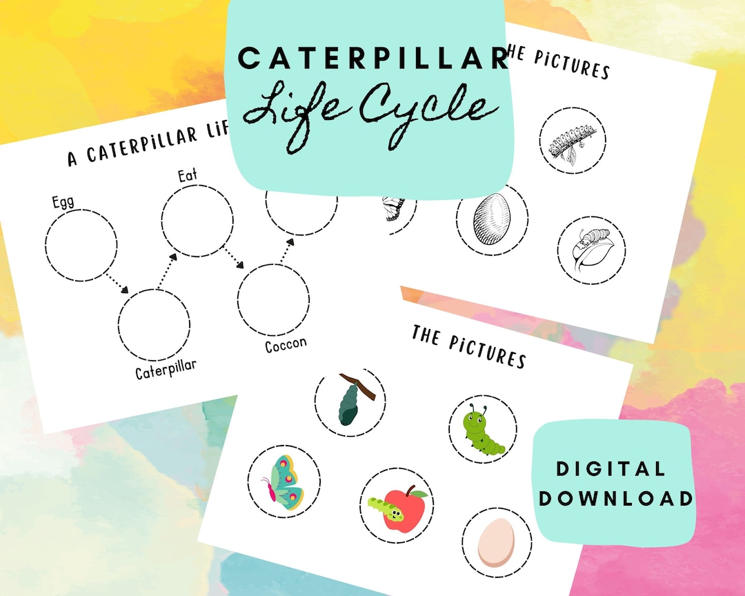 Caterpillar Activity for Kids, Life Cycle of a Caterpillar Activity, A ...