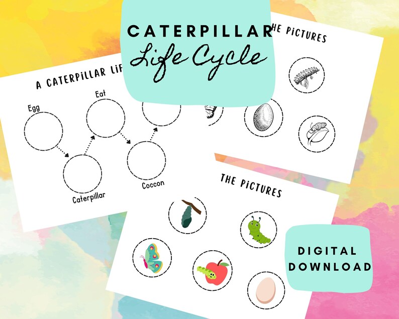 Caterpillar Activity for Kids, Life Cycle of a Caterpillar Activity, A ...
