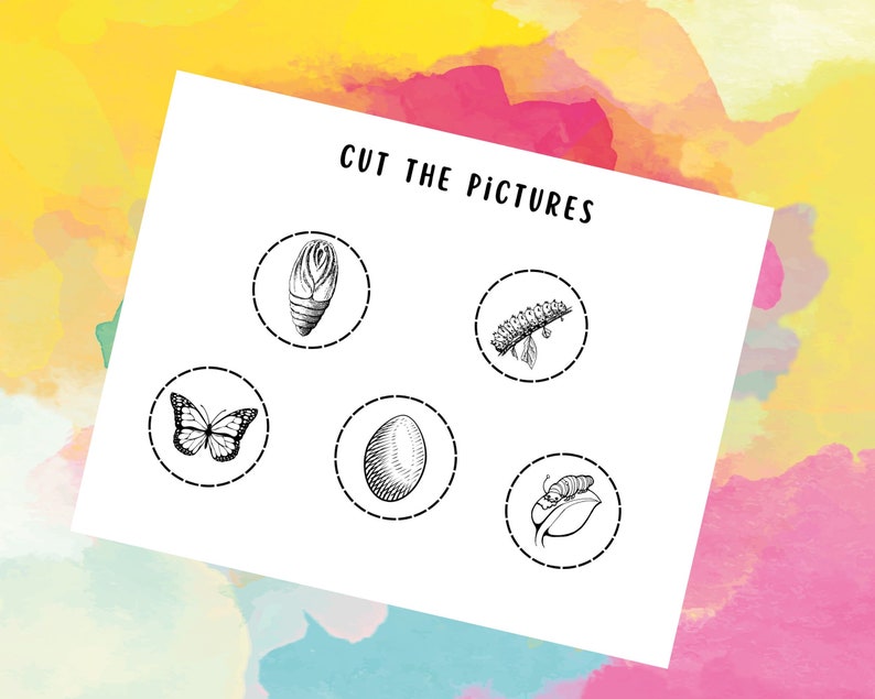 Caterpillar Activity for Kids, Life Cycle of a Caterpillar Activity, A ...